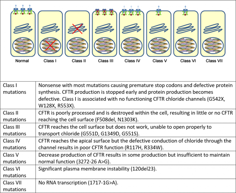 Genetics – Cystic Fibrosis Medicine